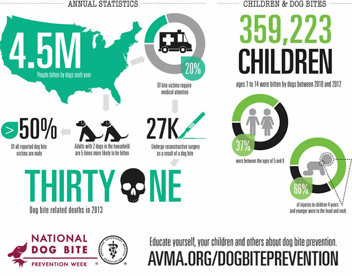 Stop the 77.. How you can reduce dog bites.. | Great Dane Rescue of ...