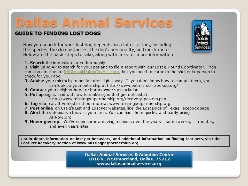 Lost a Pet; Found a Pet; Now What? | Great Dane Rescue of North Texas