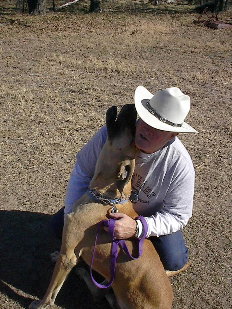 A Note From a Foster Dad | Great Dane Rescue of North Texas