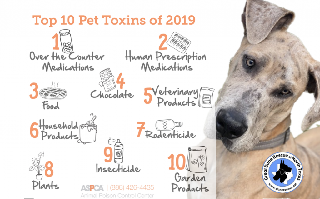 24 Hour Pet Poison Control | Great Dane Rescue of North Texas