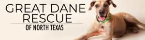 Great Dane Rescue of North Texas